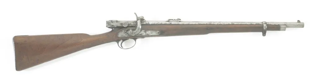 Calisher & Terry breech loading carbine, .577 calibre. | Record | DigitalNZ