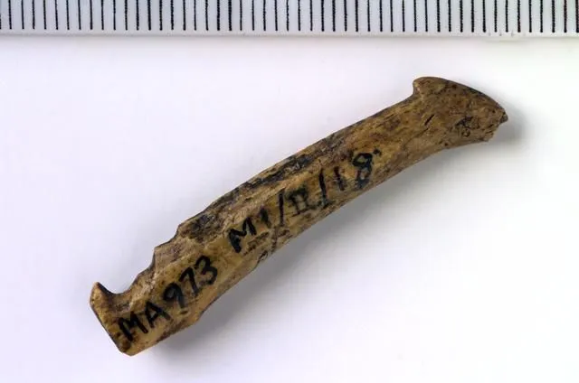 Mata (fish hook point) | Record | DigitalNZ