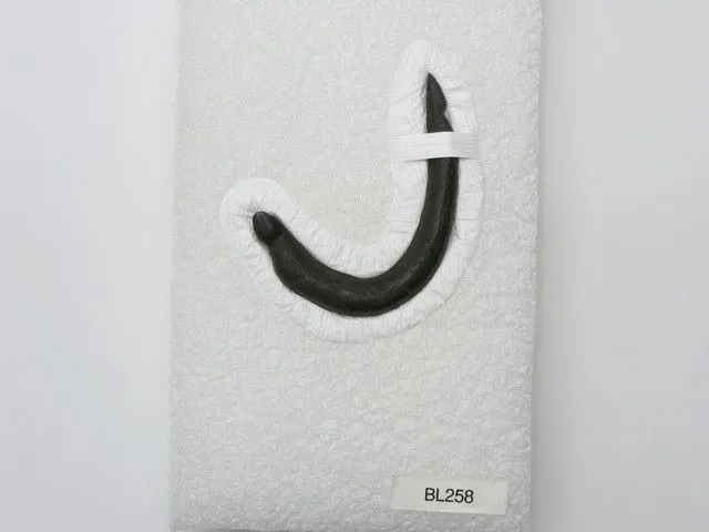 Matau (fish hook) | Record | DigitalNZ