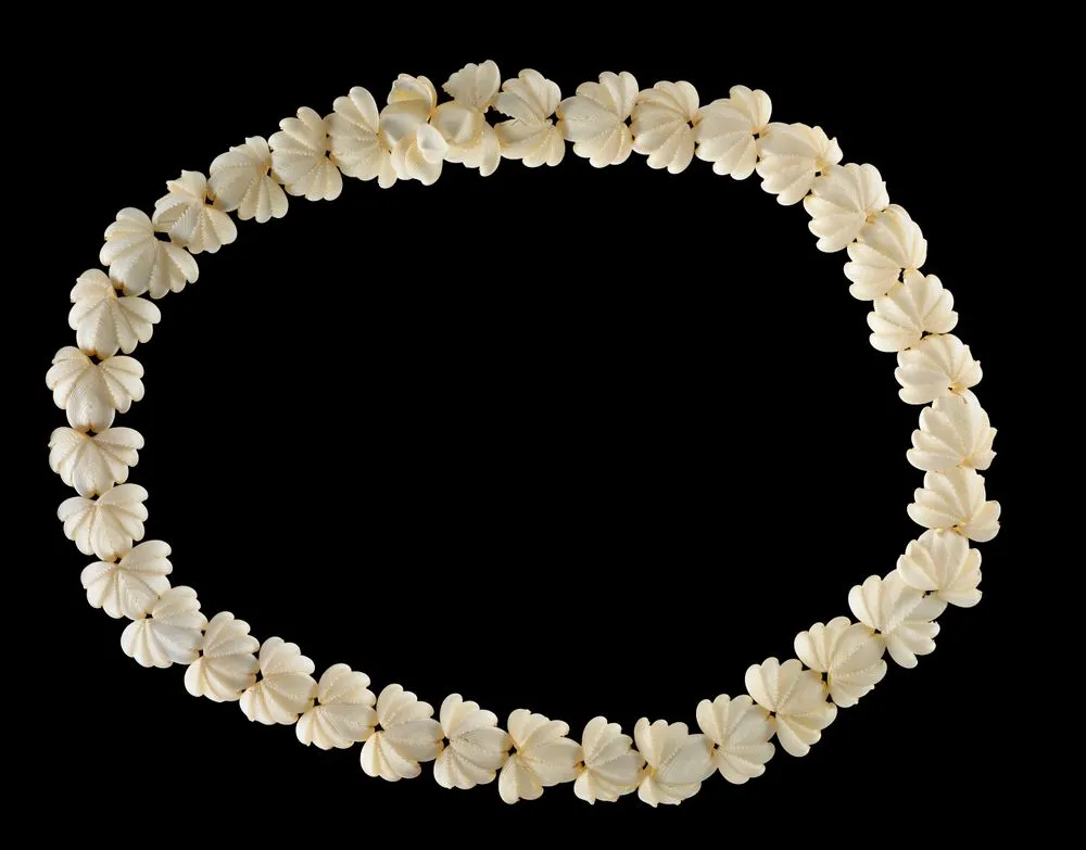 Shell Necklace | Record | DigitalNZ