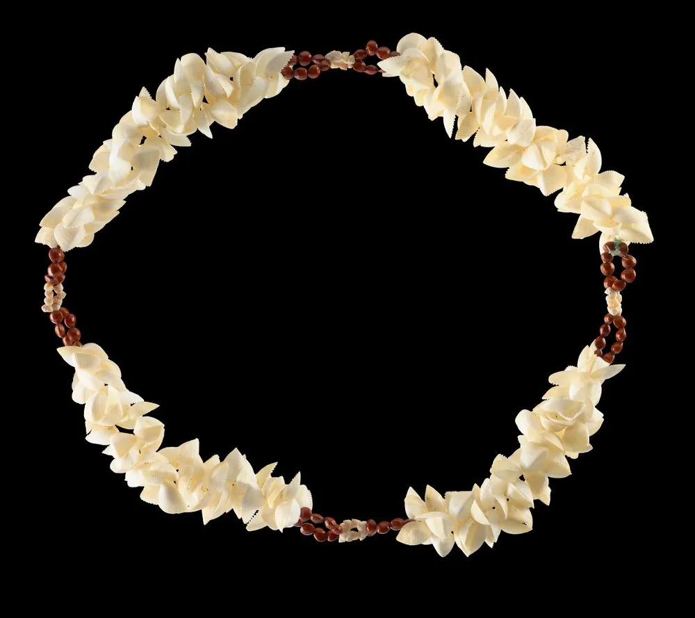 Shell Necklace | Record | DigitalNZ