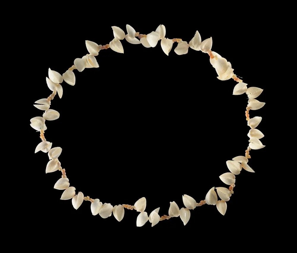 Shell Necklace | Record | DigitalNZ