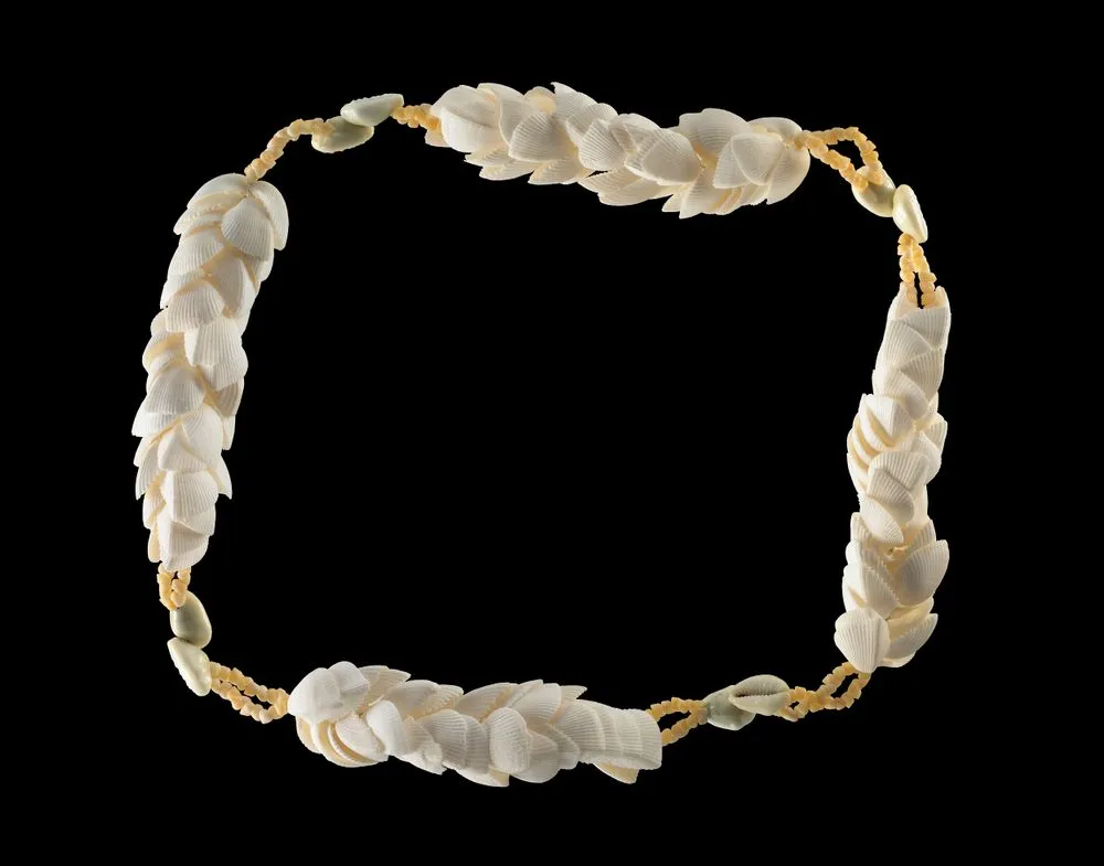 Shell Necklace | Record | DigitalNZ