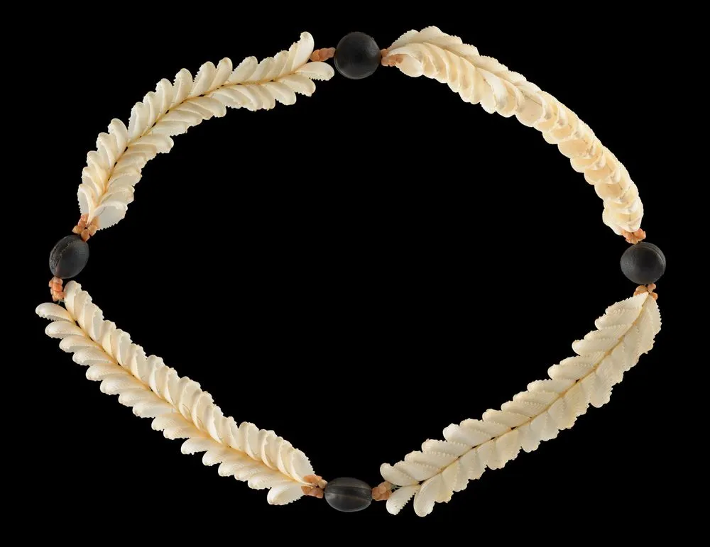 Shell Necklace | Record | DigitalNZ