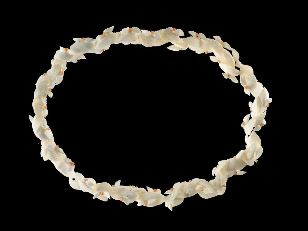 Shell Necklace | Record | DigitalNZ