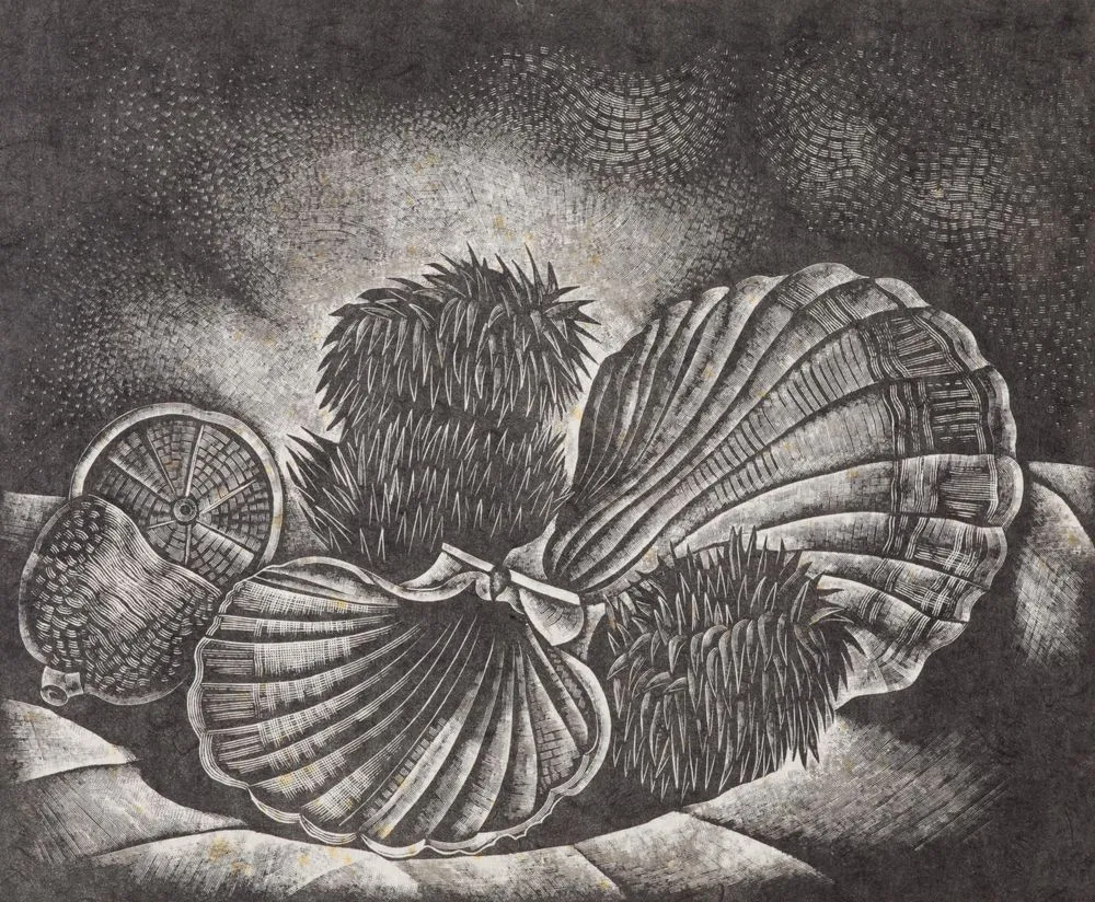 Shells | Record | DigitalNZ