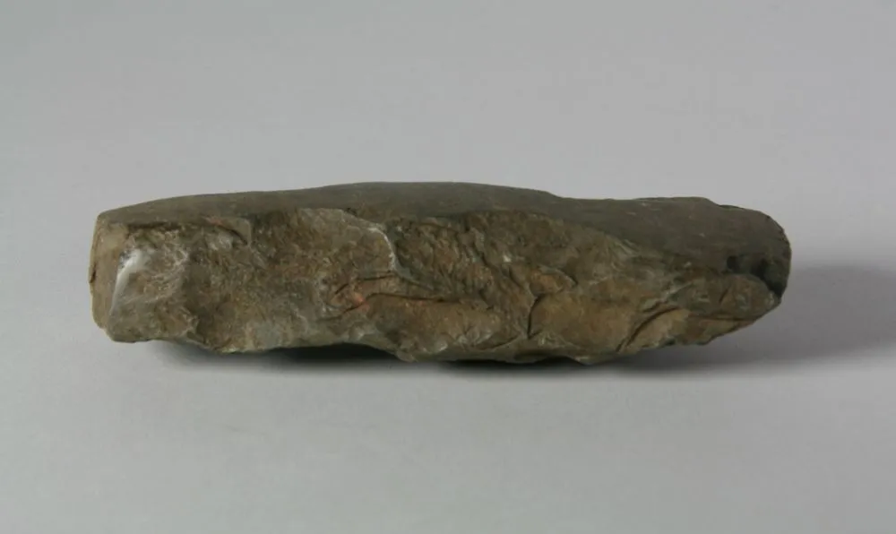 To'i Ma'a (Stone Adze) | Record | DigitalNZ