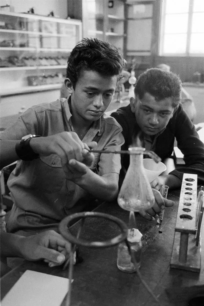 Boys in science class at Kaitaia College | Record | DigitalNZ