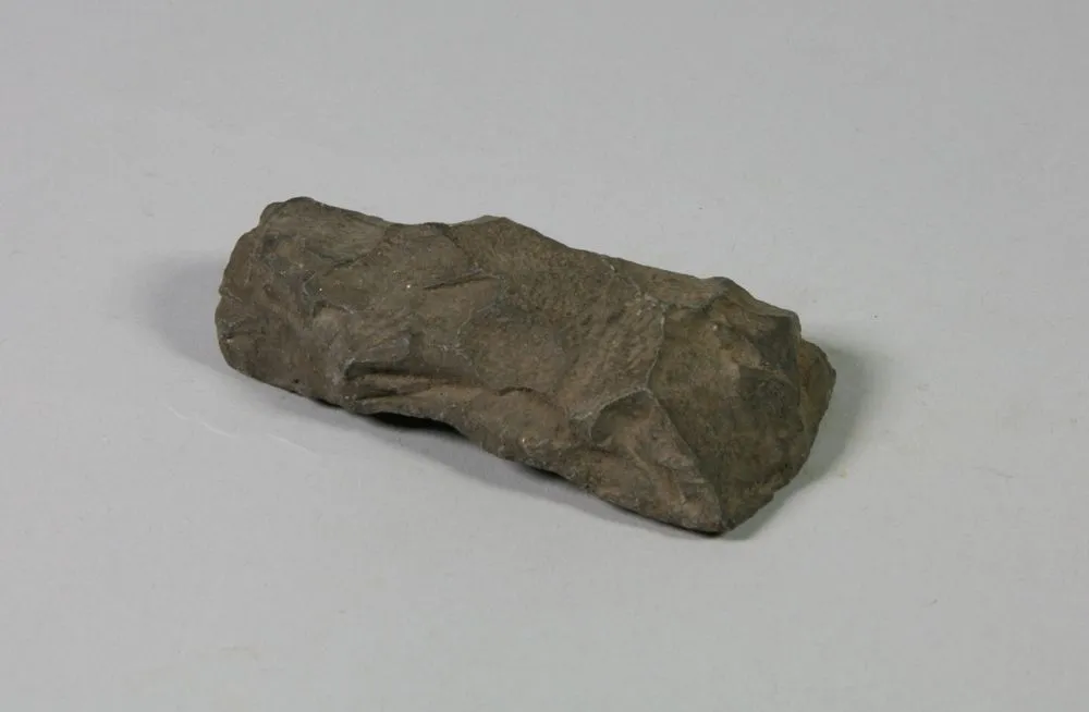 To'i Ma'a (Stone Adze) | Record | DigitalNZ