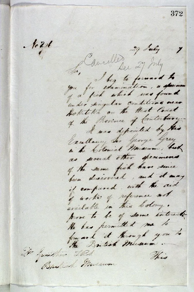 Outward letter: Gunther, Dr. : Page 372 - 375: Mud Fish | Record ...