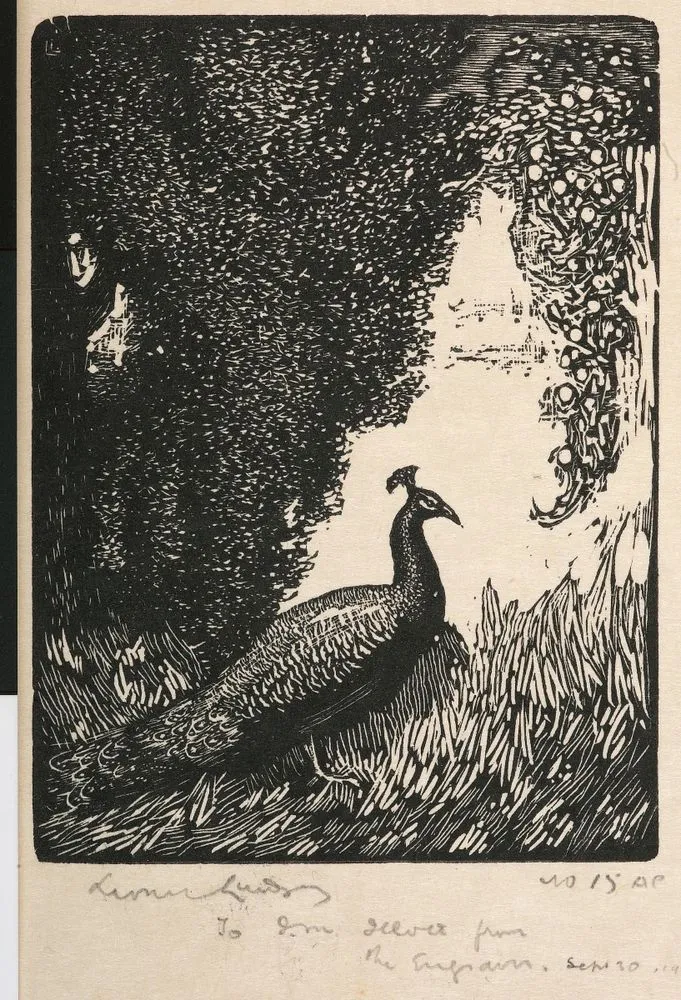 The peacock (Juno's bird) | Record | DigitalNZ