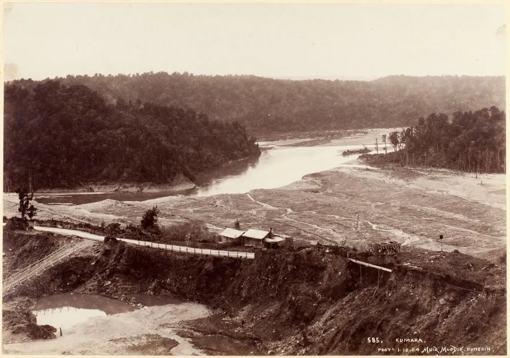 Kumara | Record | DigitalNZ