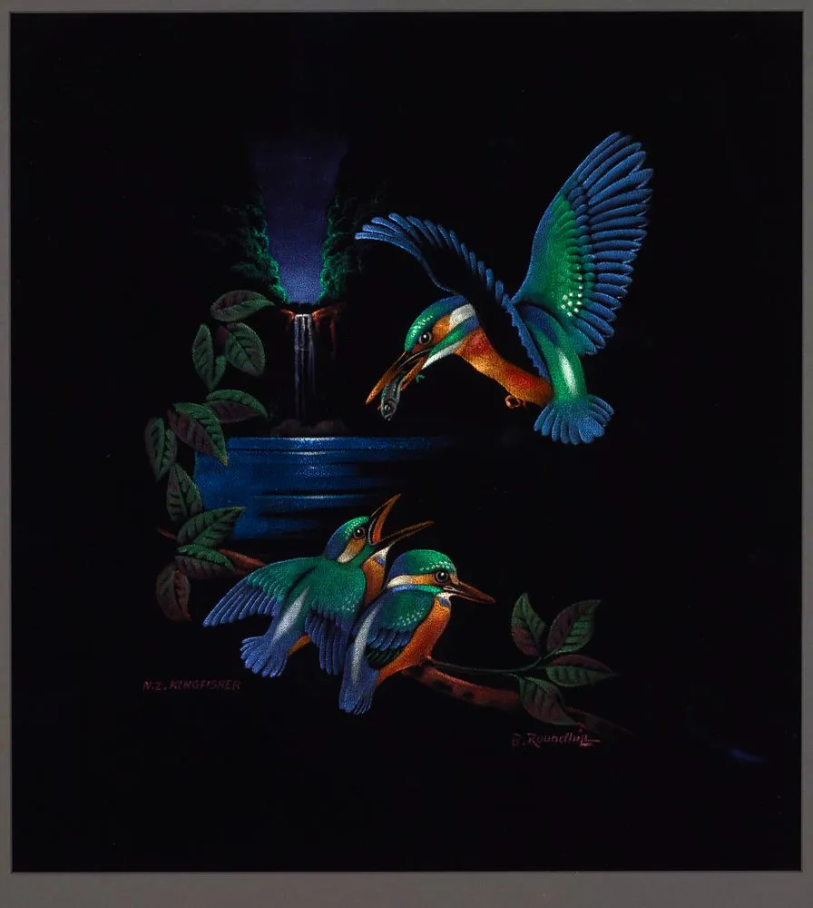 Kingfisher | Record | DigitalNZ