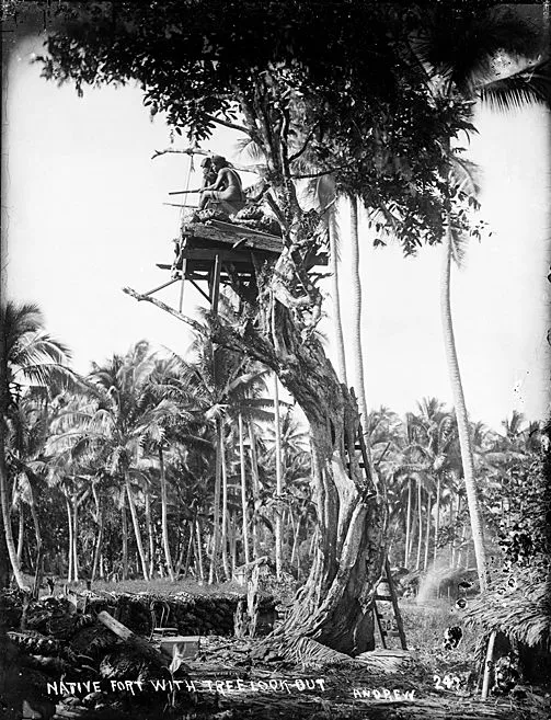Native Fort with tree lookout | Record | DigitalNZ