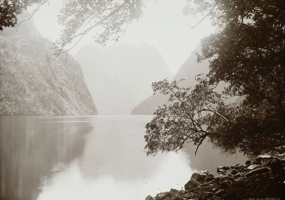 Hall's Arm, looking down | Record | DigitalNZ