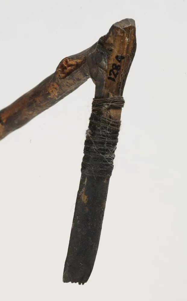 Uhi matarau (tattooing chisel) | Record | DigitalNZ