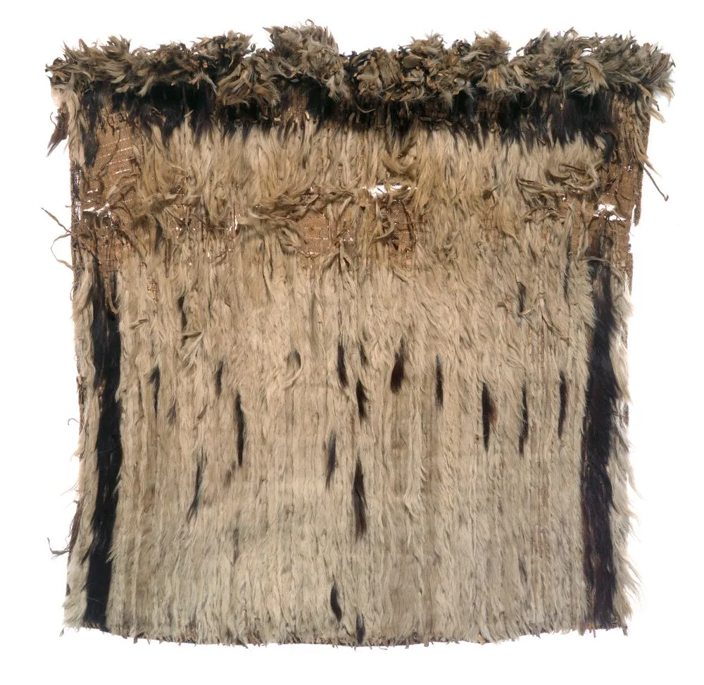 Kahu kurī (dog skin cloak) | Record | DigitalNZ