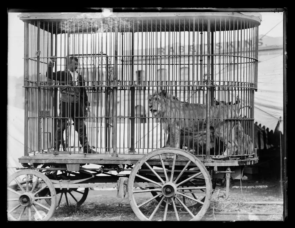 Fitzgerald Brothers Circus & Menagerie | Record | DigitalNZ