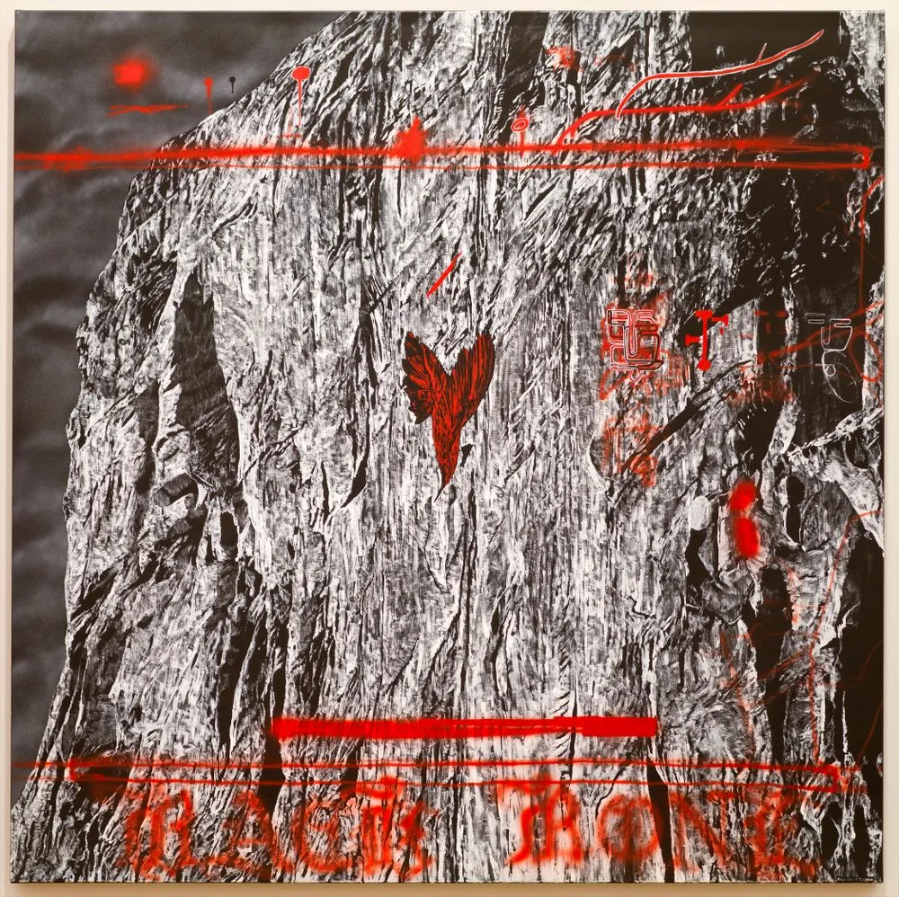 Back bone | Record | DigitalNZ