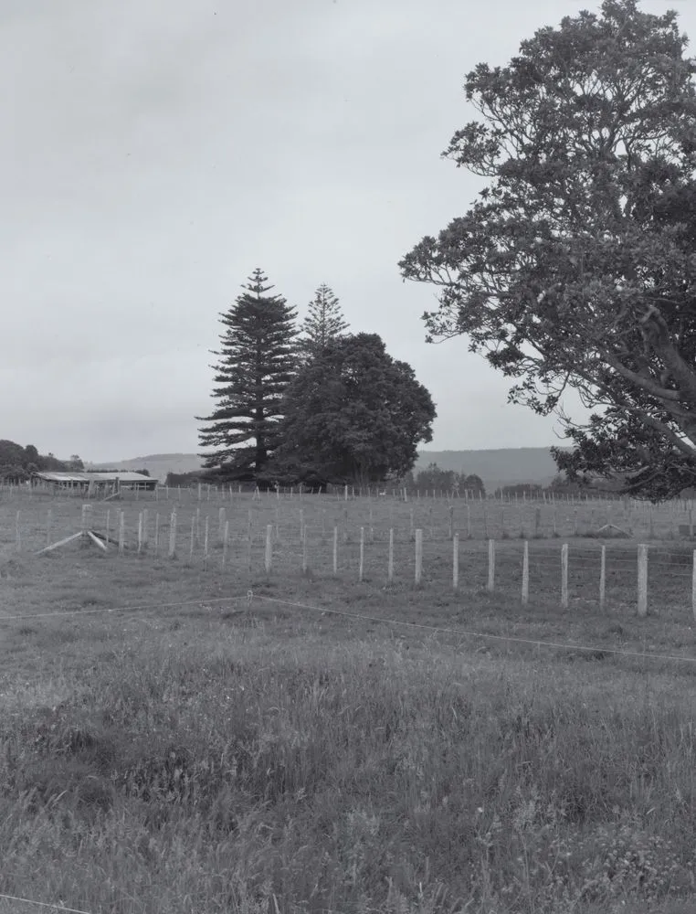 Waimate | Record | DigitalNZ