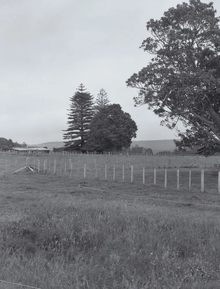 Waimate | Record | DigitalNZ