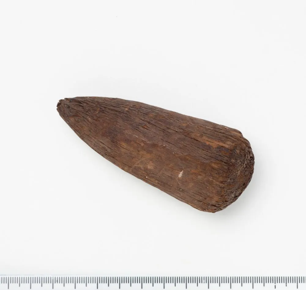 Potaka (spinning top) | Record | DigitalNZ