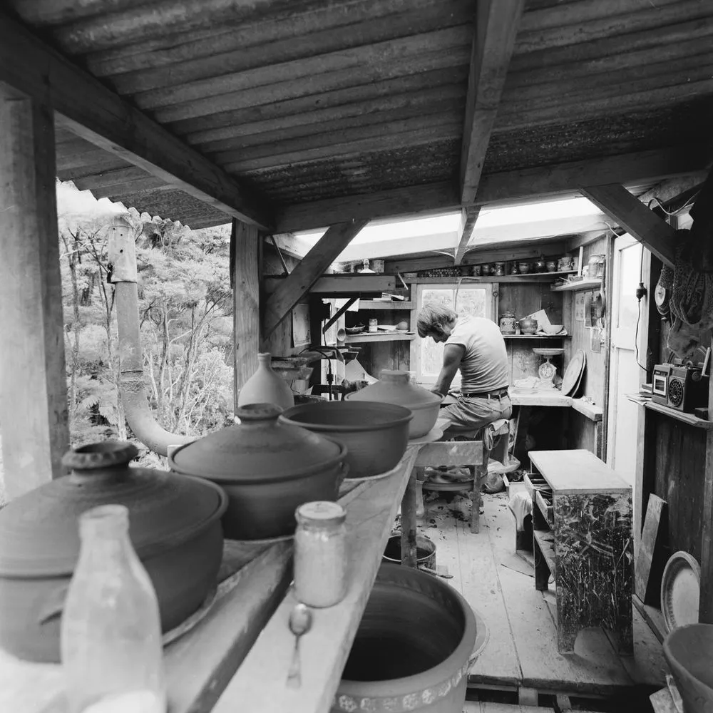 Barry Brickell frame 04 | Record | DigitalNZ