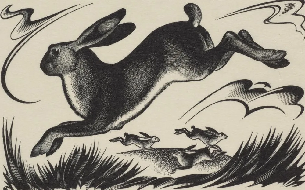 March hare | Record | DigitalNZ