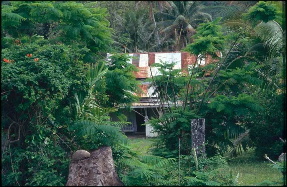 Corrugated iron roof seen through trees. | Record | DigitalNZ