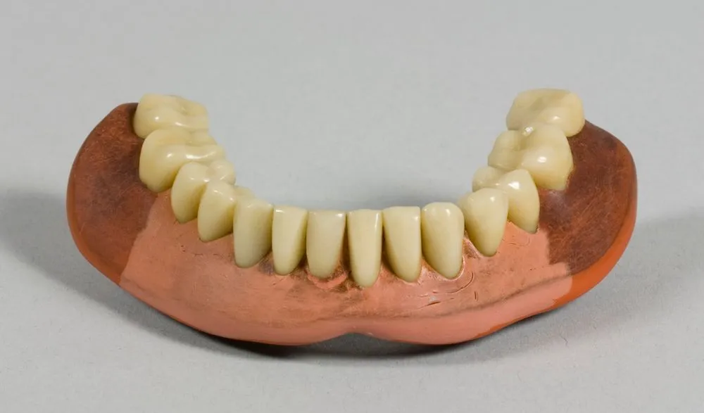 False Teeth | Record | DigitalNZ