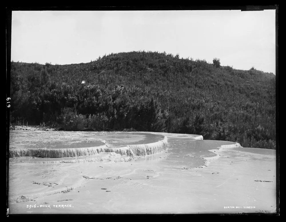 Pink Terrace | Record | DigitalNZ