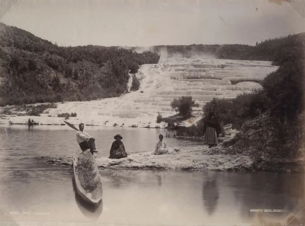 Pink Terrace | Record | DigitalNZ