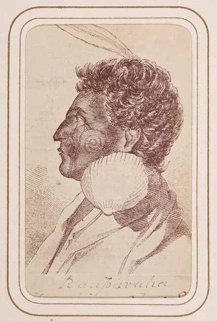 Te Rauparaha. From the album: New Zealand and South Seas | Record ...