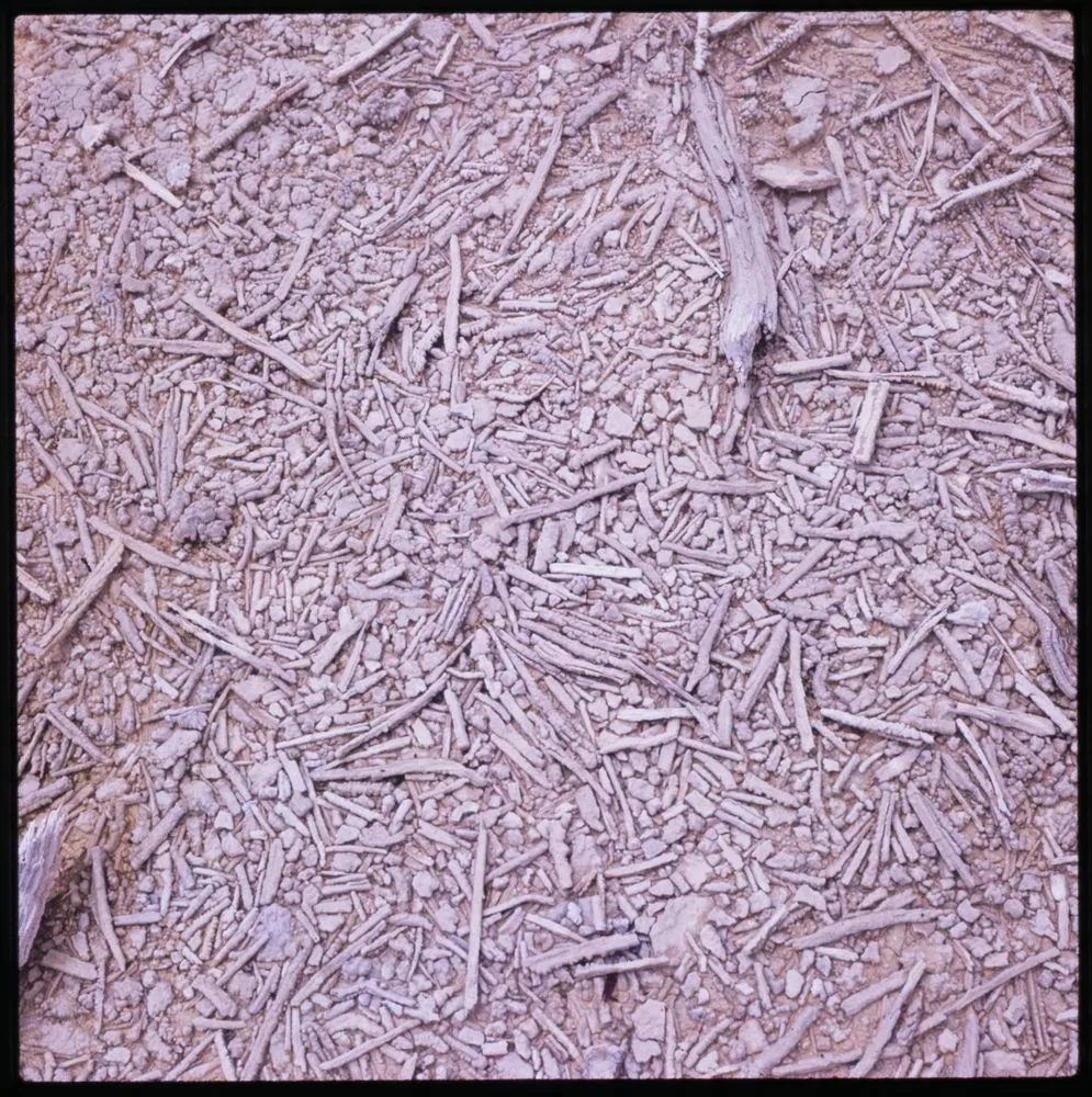 Untitled [Mud & stick pattern] | Record | DigitalNZ