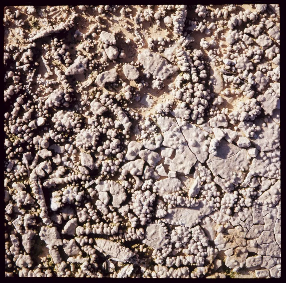 Untitled [Mud & stick pattern] | Record | DigitalNZ