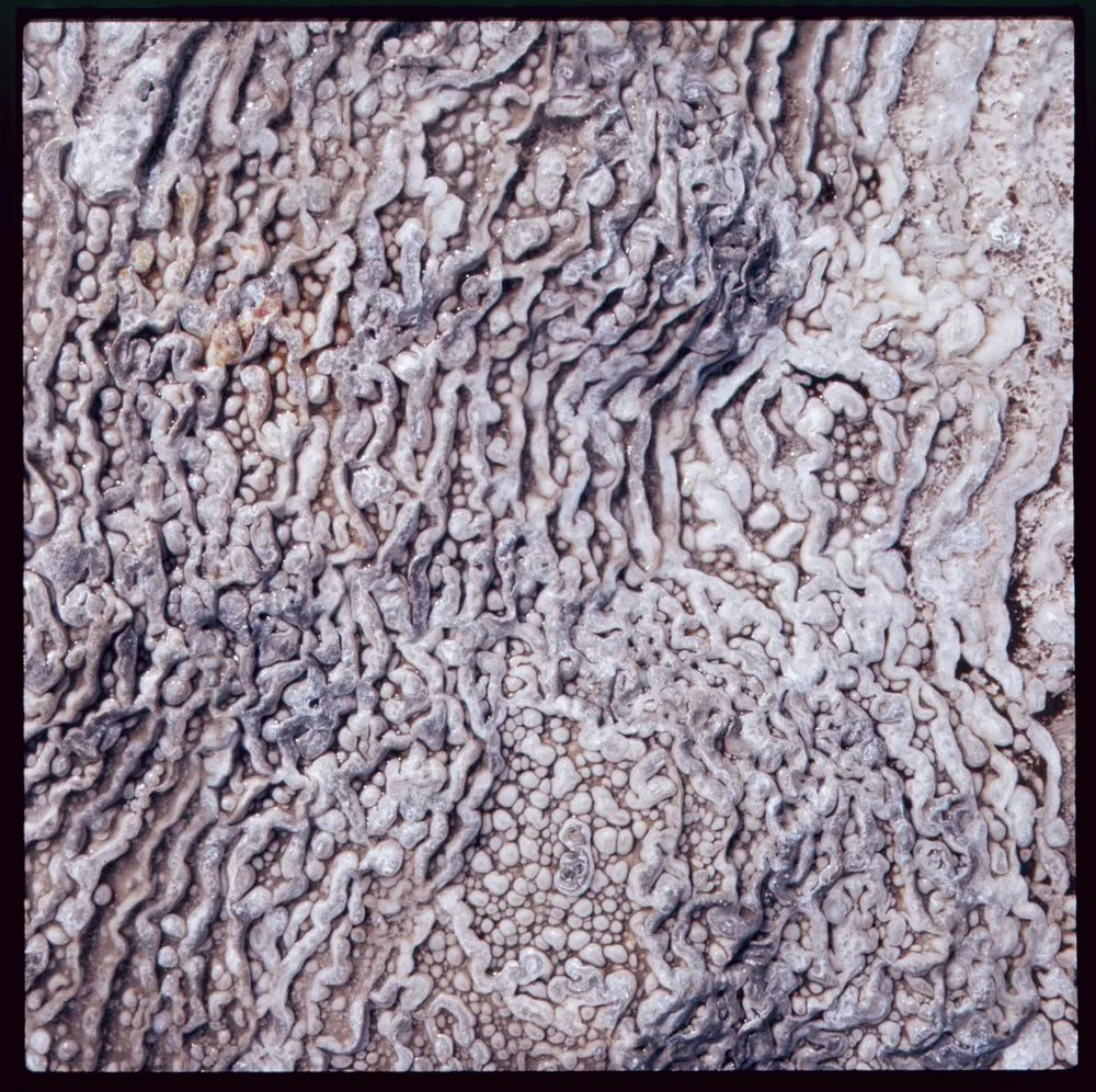 Untitled [Mud & stick pattern] | Record | DigitalNZ