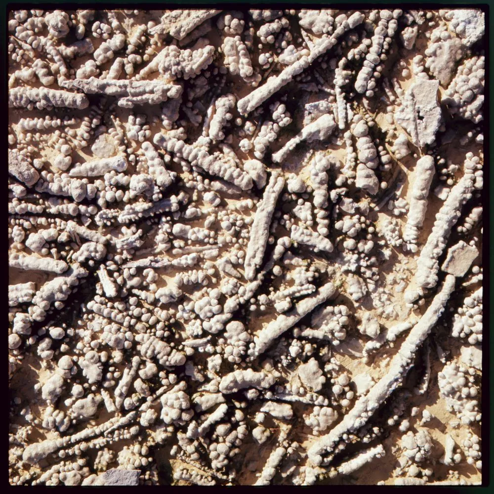 Untitled [Mud & stick pattern] | Record | DigitalNZ