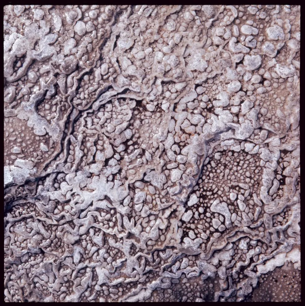 Untitled [Mud & stick pattern] | Record | DigitalNZ