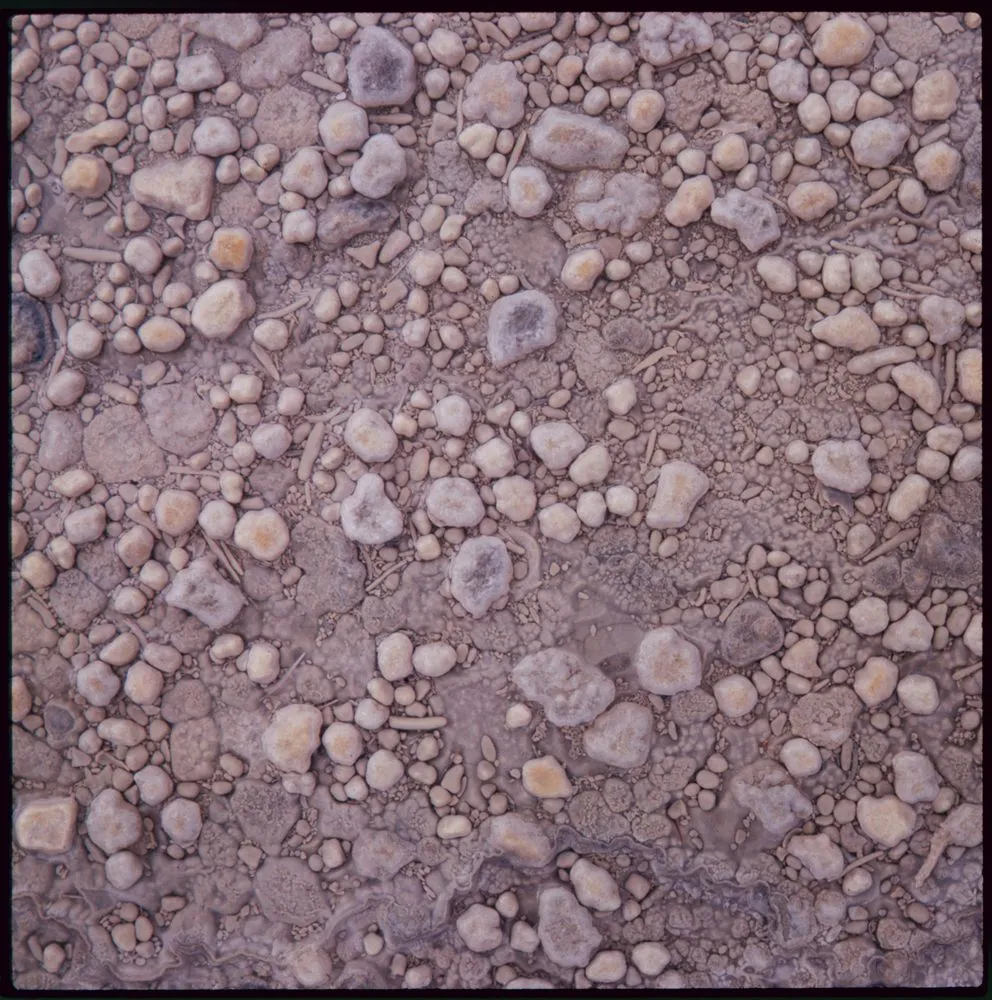 Untitled [Mud & stick pattern] | Record | DigitalNZ