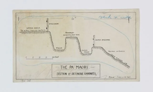 Section of defensive ramparts - for The Pa Māori | Record | DigitalNZ