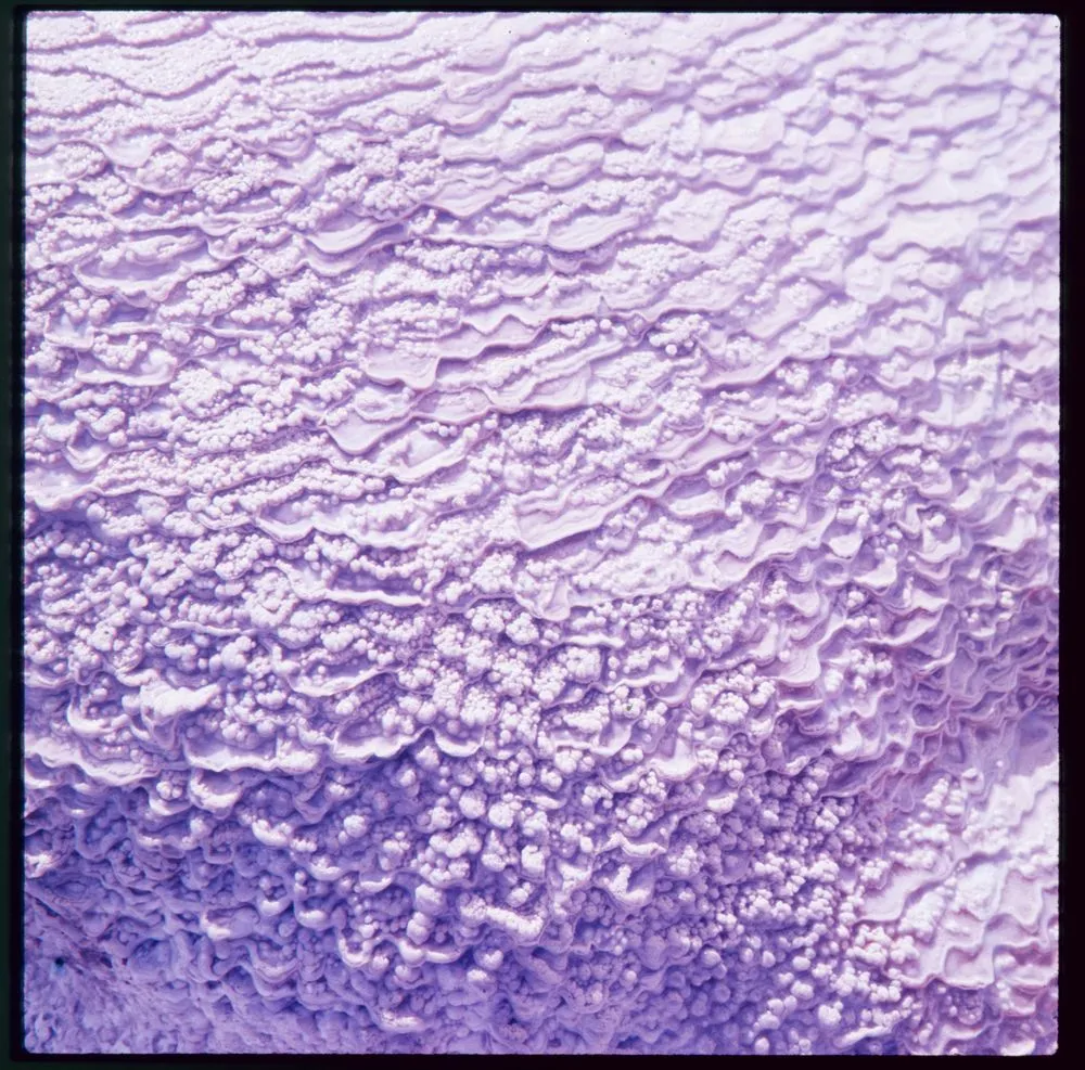 Untitled [Mud & stick pattern] | Record | DigitalNZ