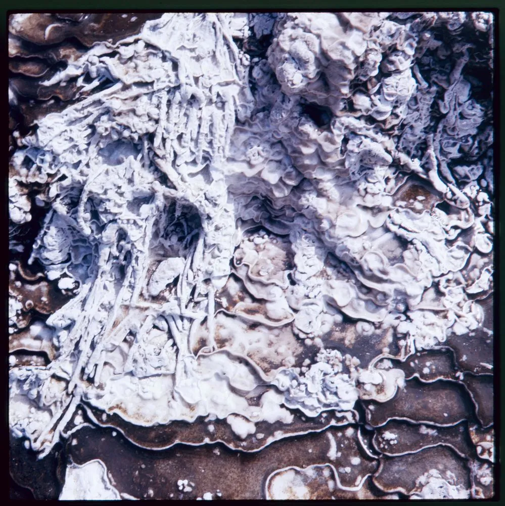 Untitled [Mud & stick pattern] | Record | DigitalNZ