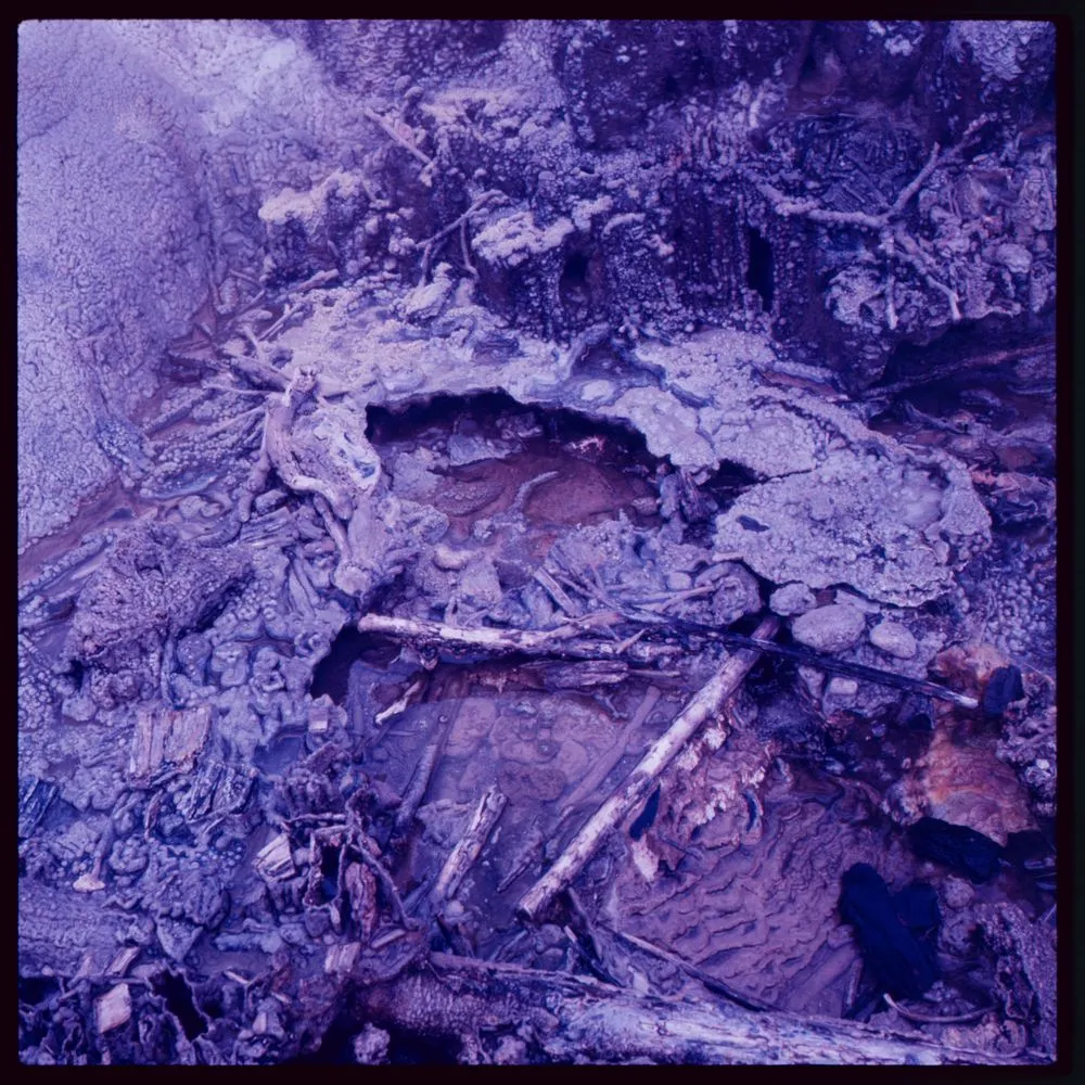 Untitled [Mud & stick pattern] | Record | DigitalNZ