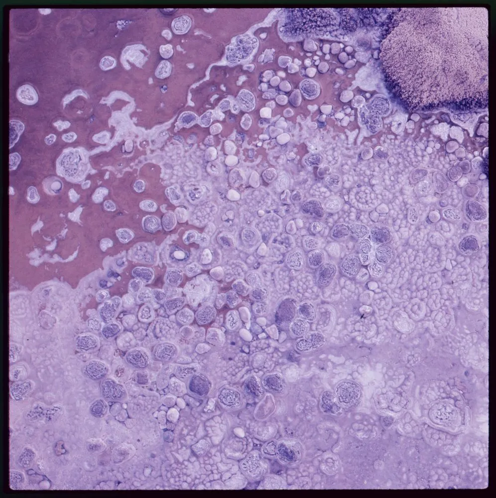 Untitled [Mud & stick pattern] | Record | DigitalNZ