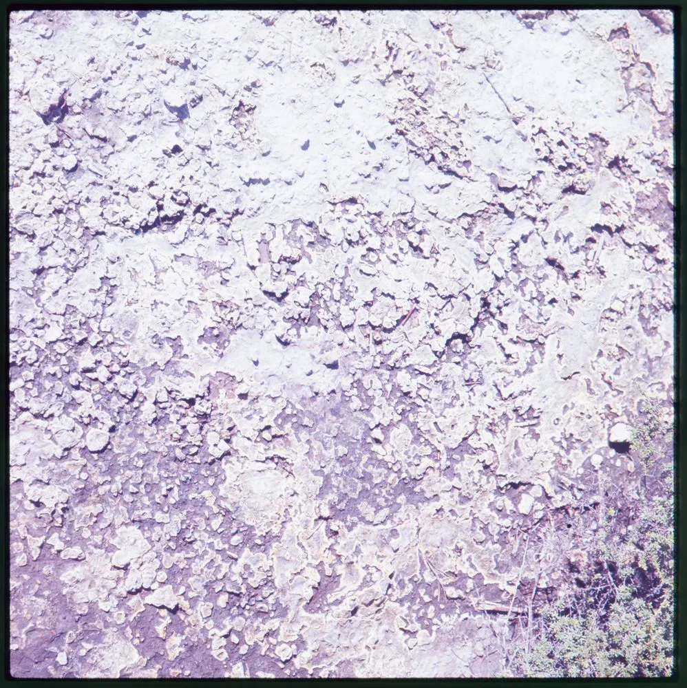 Untitled [Mud & stick pattern] | Record | DigitalNZ