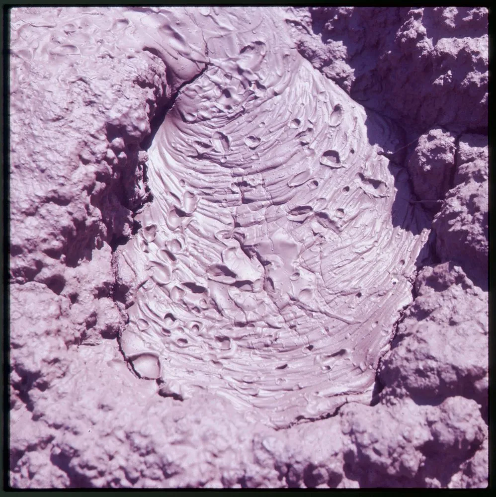 Untitled [Mud flow] | Record | DigitalNZ