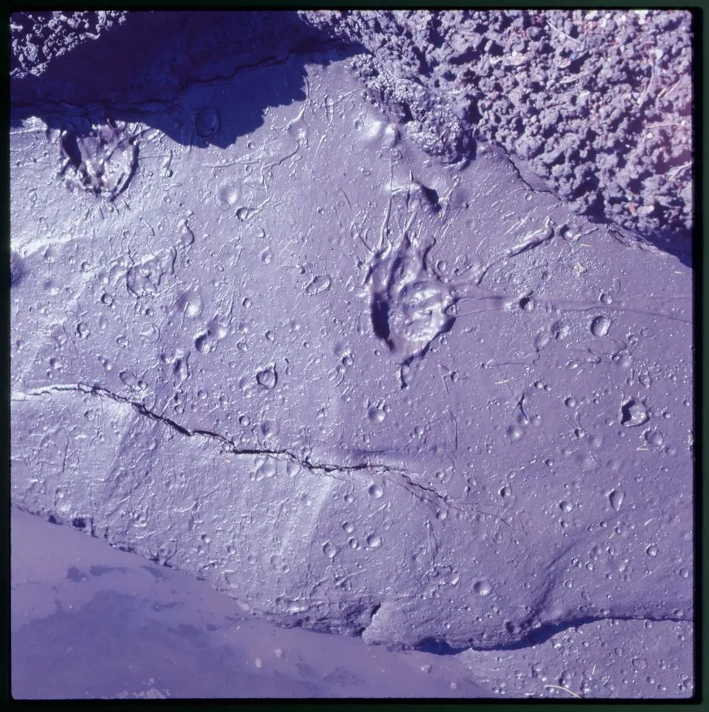 Untitled [Mud flow] | Record | DigitalNZ