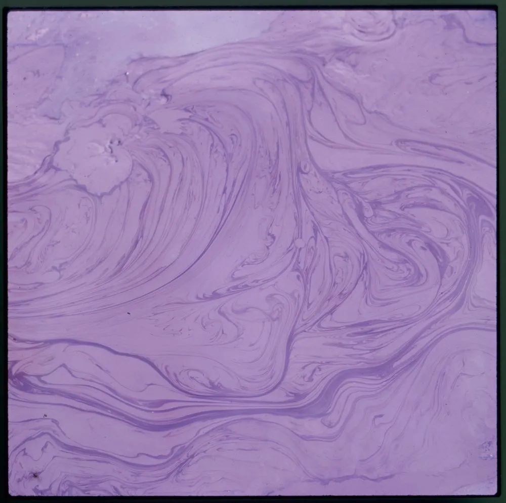 Untitled [Mud flow] | Record | DigitalNZ