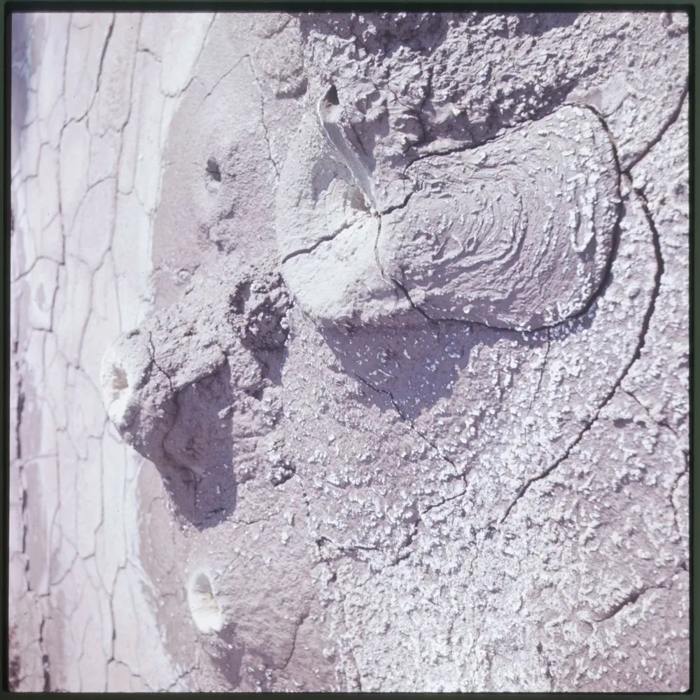 Untitled [Mud "volcano"] | Record | DigitalNZ
