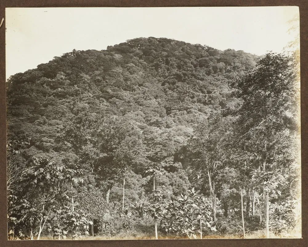 Mount Vaea. From the album: Samoa | Record | DigitalNZ